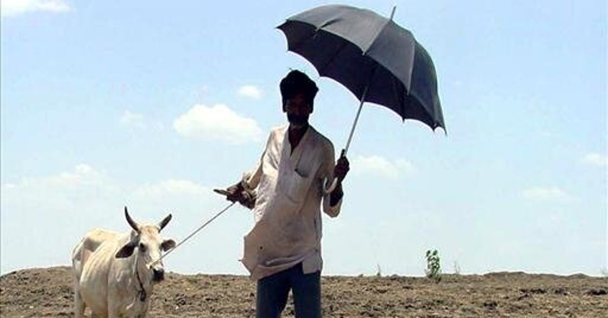 Exclusive: BJP, Shiv Sena Stole Fodder Funds From Cows In Drought-Hit ... Exclusive: BJP, Shiv Sena Stole Fodder Funds From Cows In Drought-Hit ...