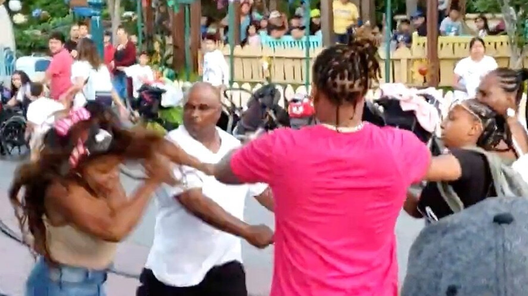 Wild Brawl At Goofy's House In Disneyland’s Toontown Prompts Police ...