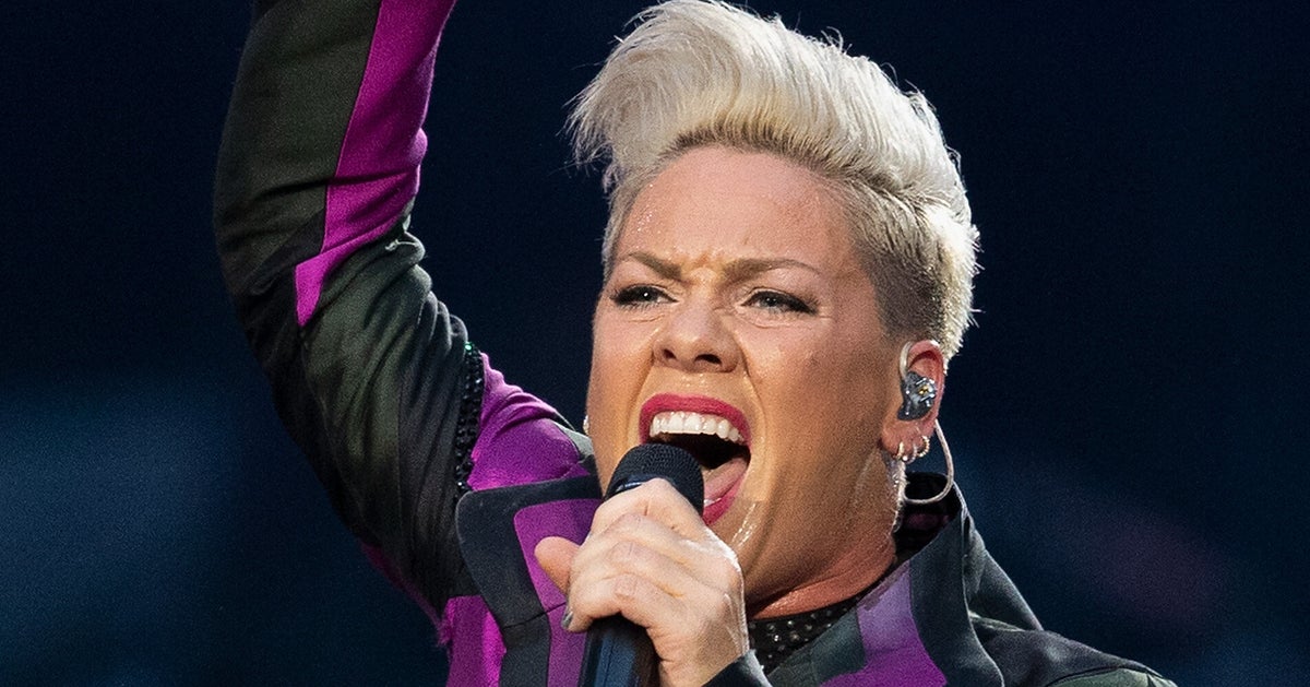 Pink Issues Savagely Sarcastic Message For The 'Parenting Police ...