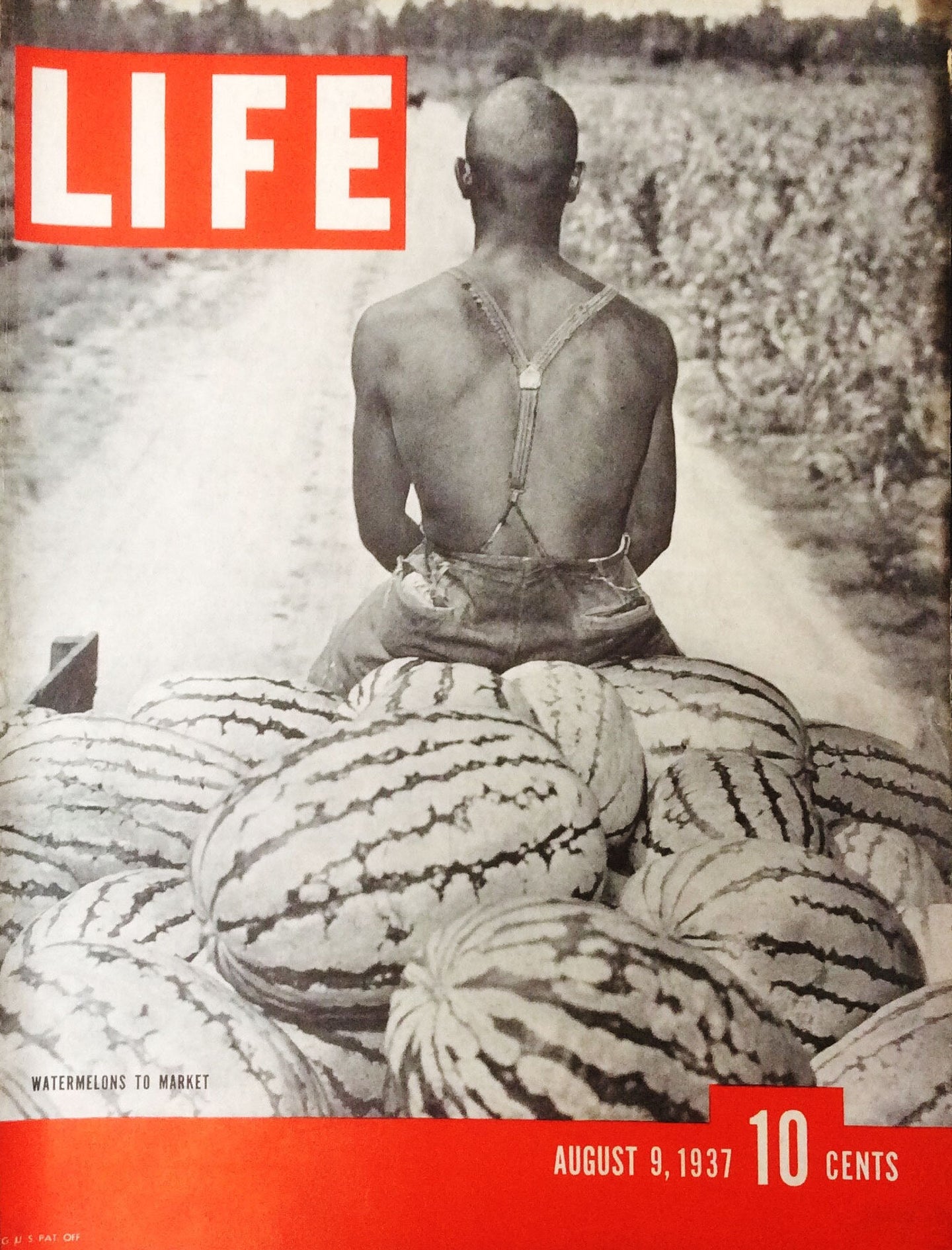 How Watermelon's Reputation Got Tangled In Racism | HuffPost UK Food ...