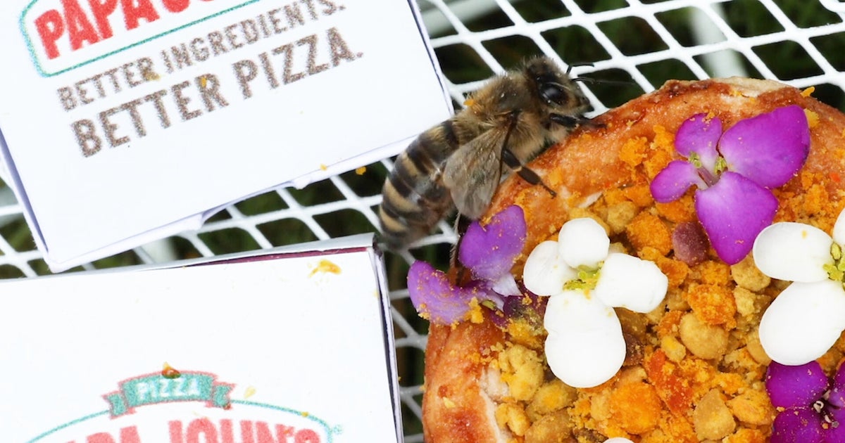 The World’s First Pizza For Bees | HuffPost UK Life