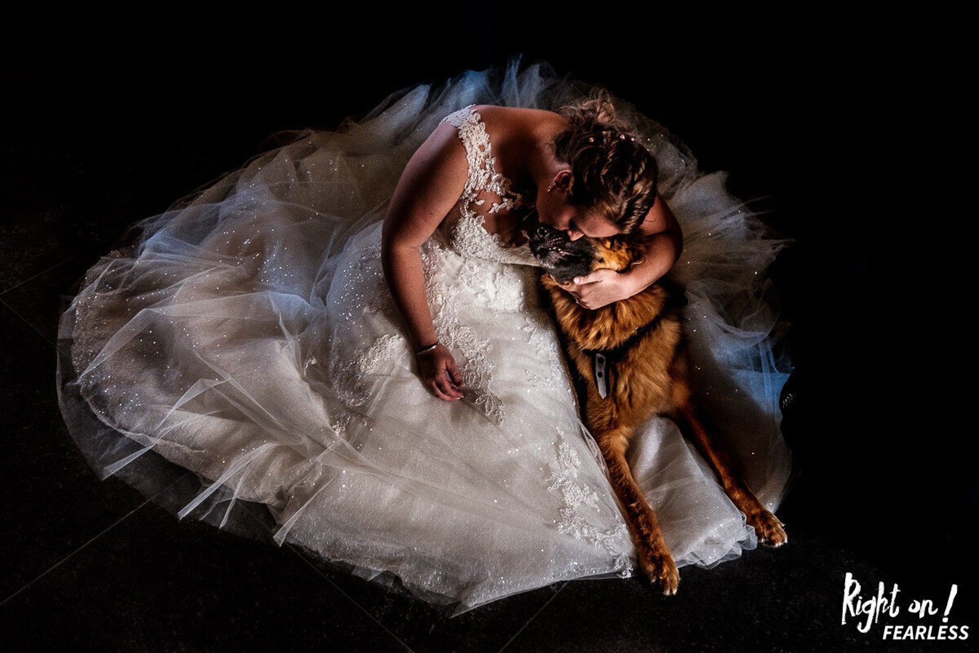 31 Adorable Photos Of Dogs At Weddings That Are A Real Treat | HuffPost ...