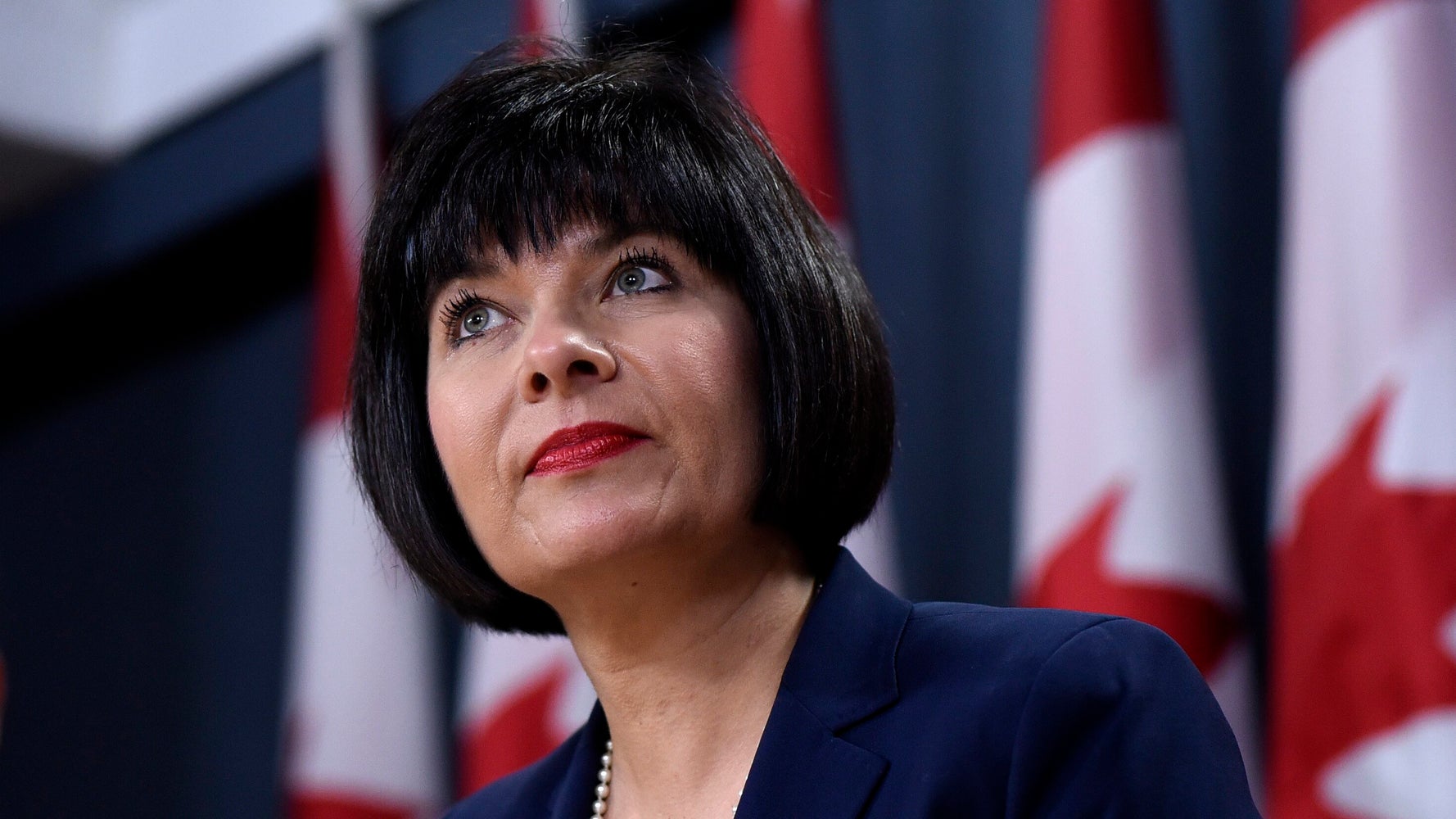 Scheer Is Spreading 'Misinformation' About Food Guide: Health Minister ...