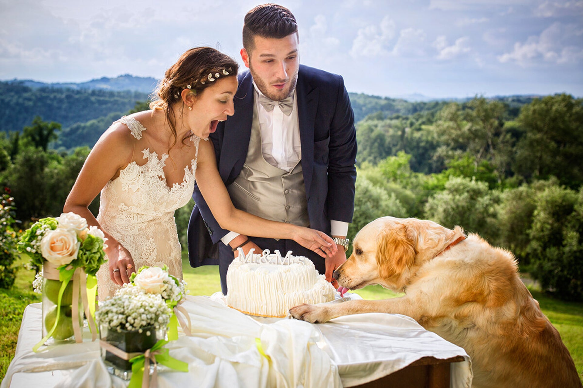 31 Adorable Photos Of Dogs At Weddings That Are A Real Treat | HuffPost ...