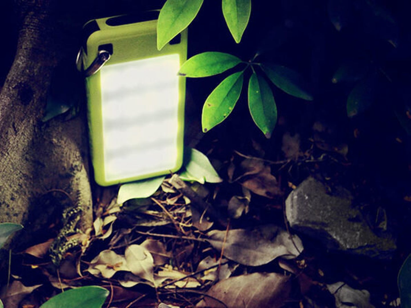Store: This Solar Battery Pack Eliminates Low-Battery Anxiety When You ...