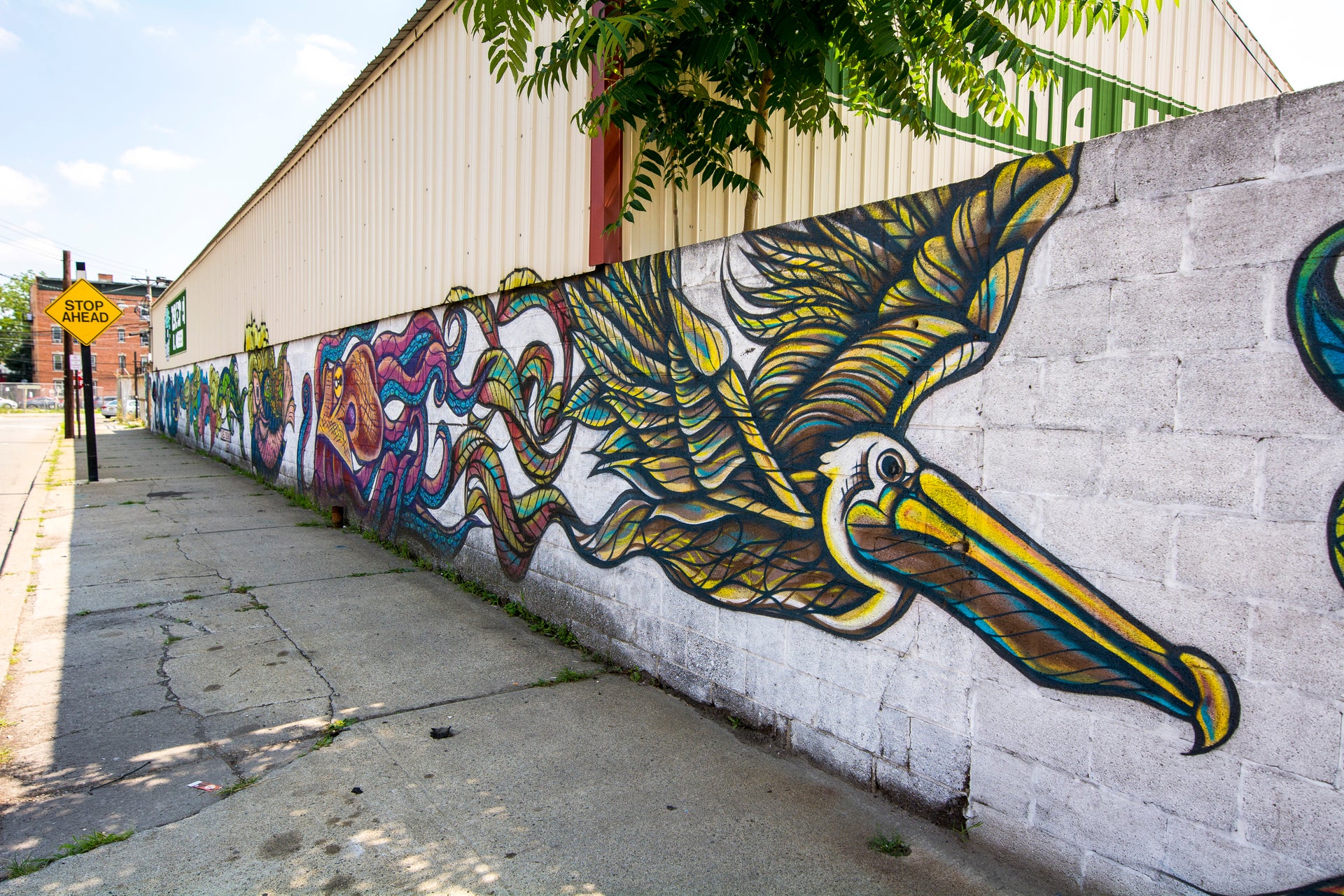 The Stunning Street Art Murals Combating Graffiti In Jersey City ...