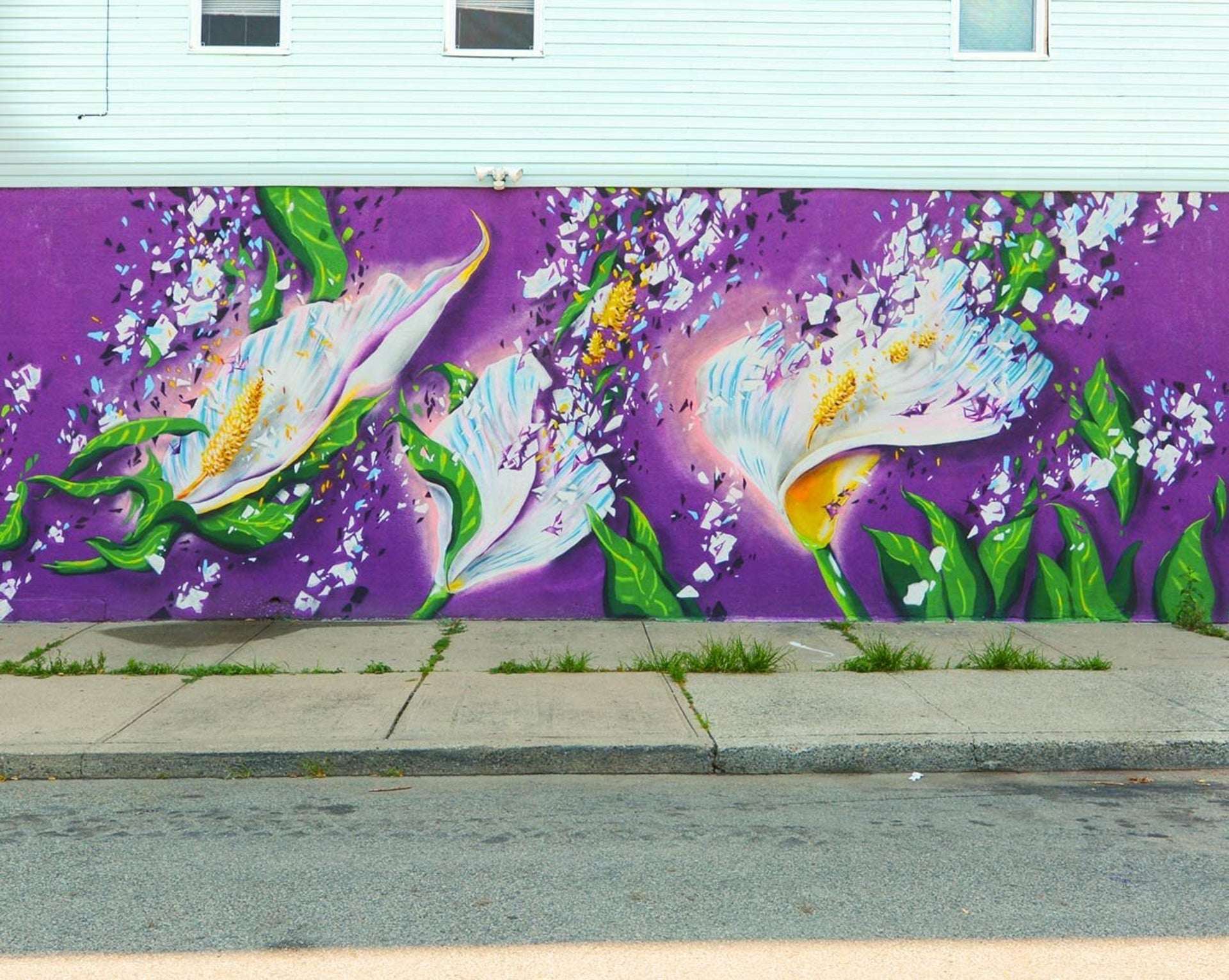 The Stunning Street Art Murals Combating Graffiti In Jersey City ...