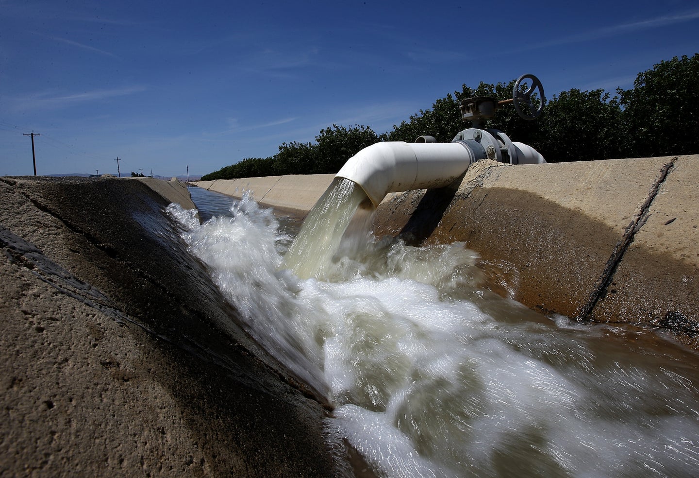 9 Foods That Are Making The Drought Even Worse | HuffPost Life