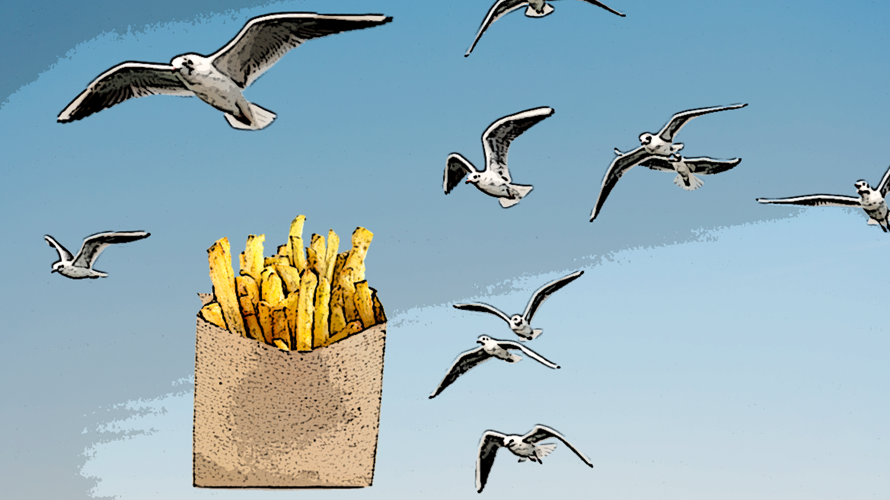 Staring Out Seagulls Is The Secret To Protecting Your Chips, Scientists ...