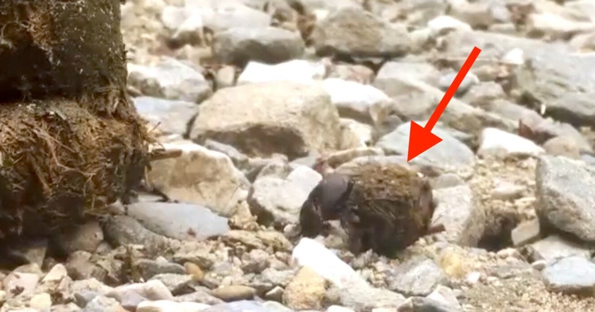 National Park Service Celebrates Its Crappiest Attraction: Rolling ...