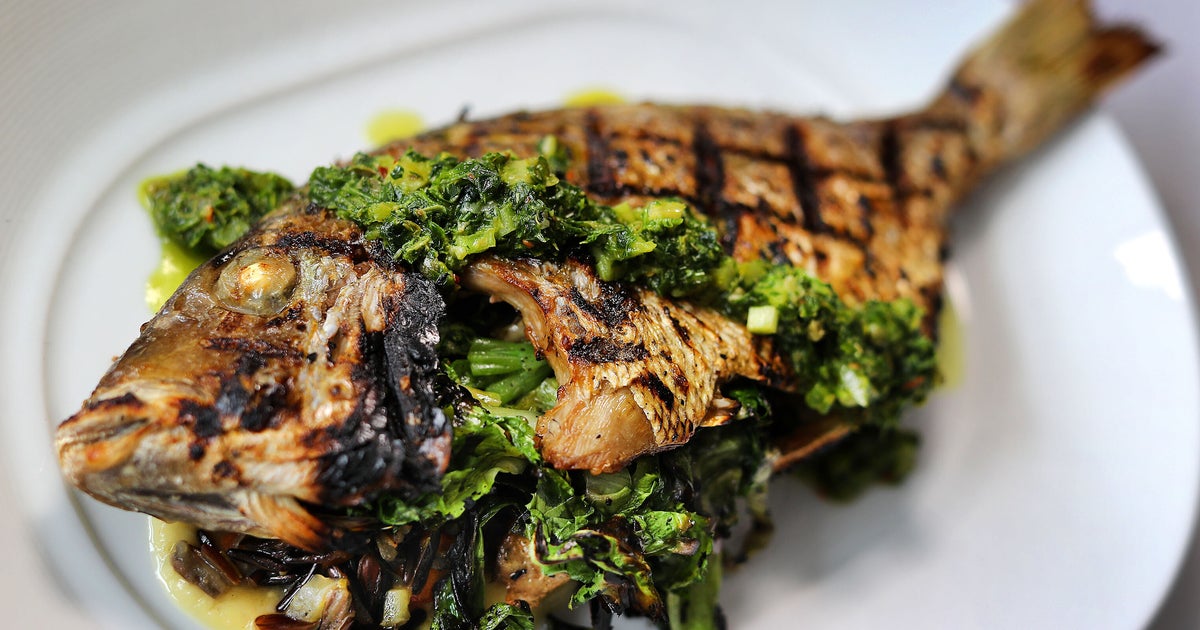 'Trash Fish': A List Of The Sustainable Seafood We Should Be Eating ...