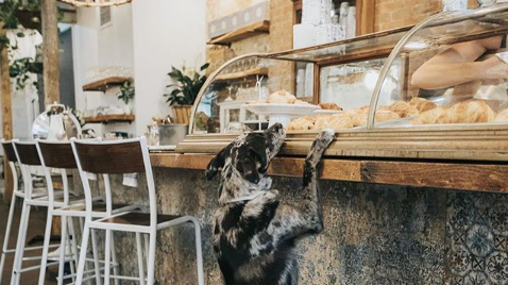 Maman, le célèbre café de New York approuvé par Oprah ouvre à Montréal ...