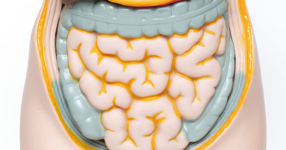 Taking The Fecal Out Of Fecal Transplantation | HuffPost News