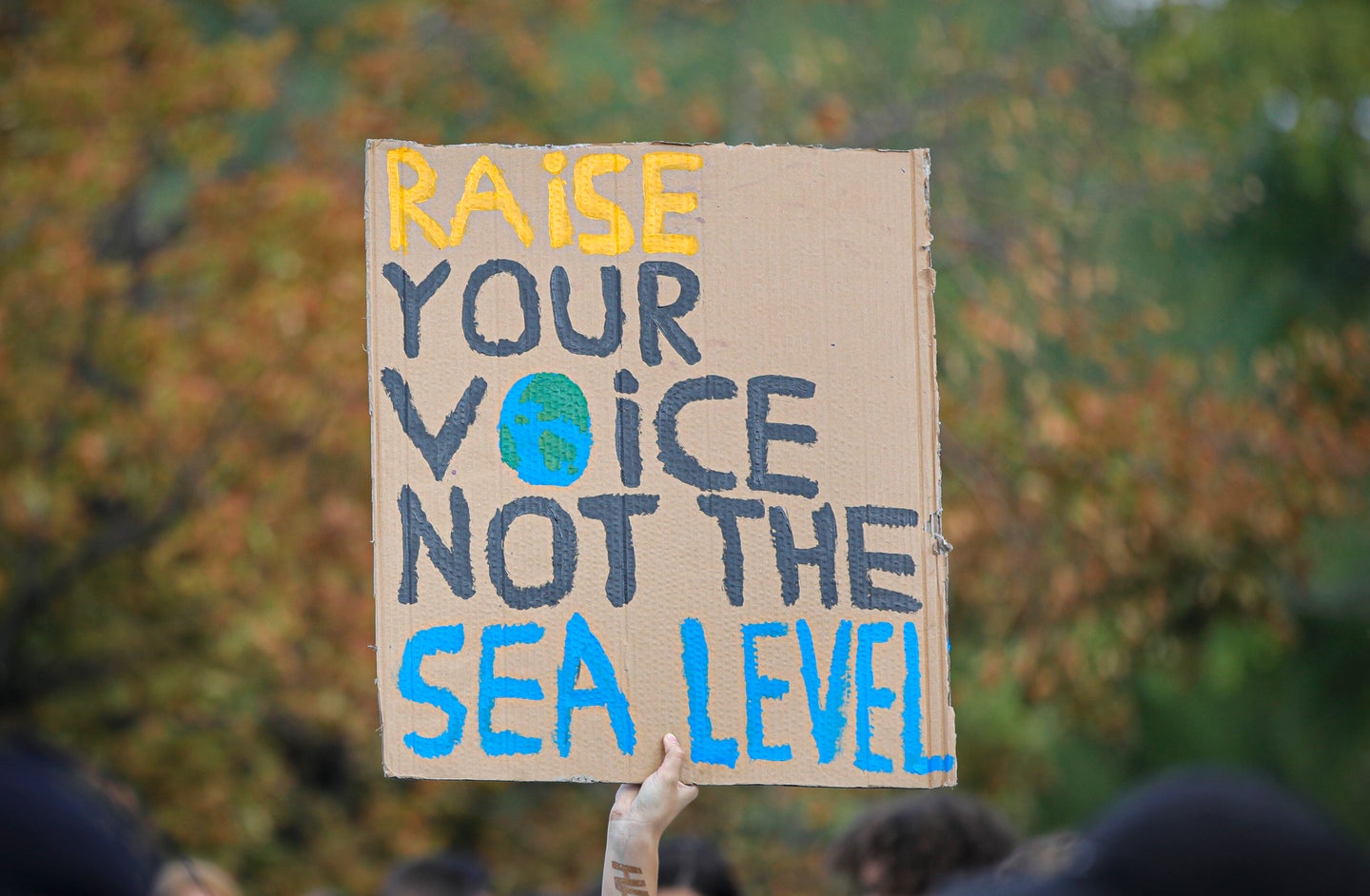 The Best Signs From The Climate Change Rallies Around The World ...