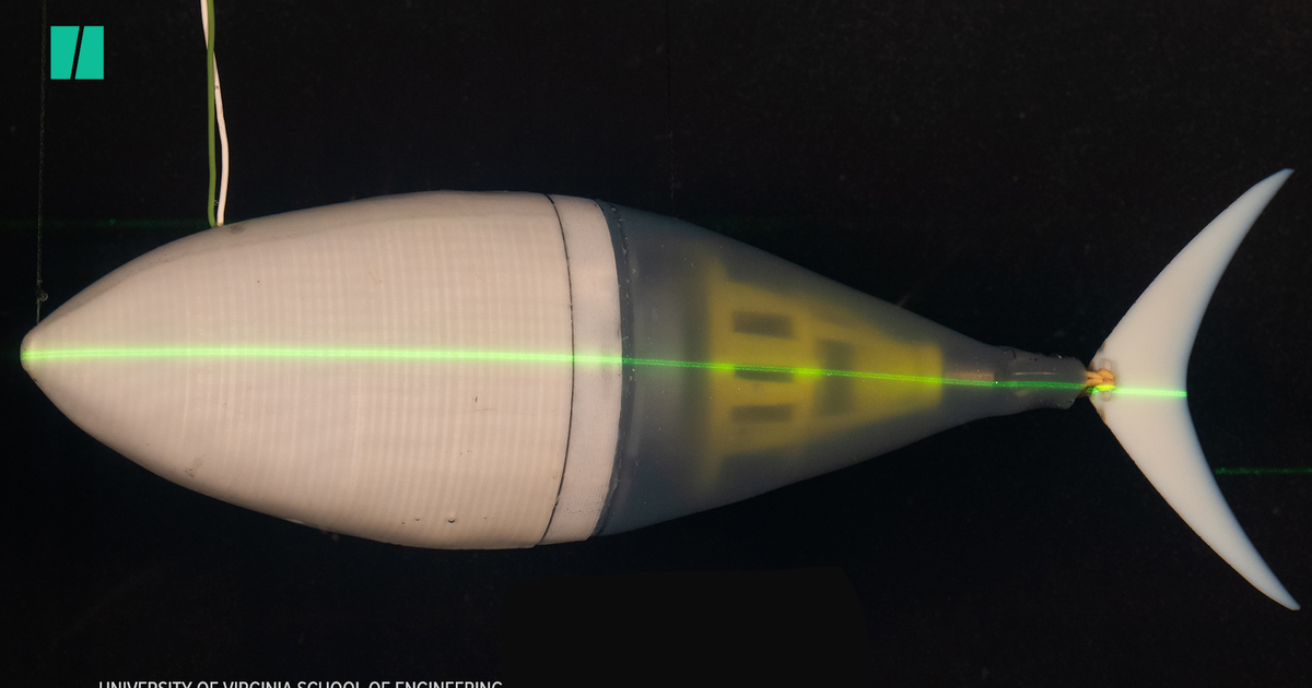 Robotic Fish Used As Underwater Spy? | HuffPost Videos