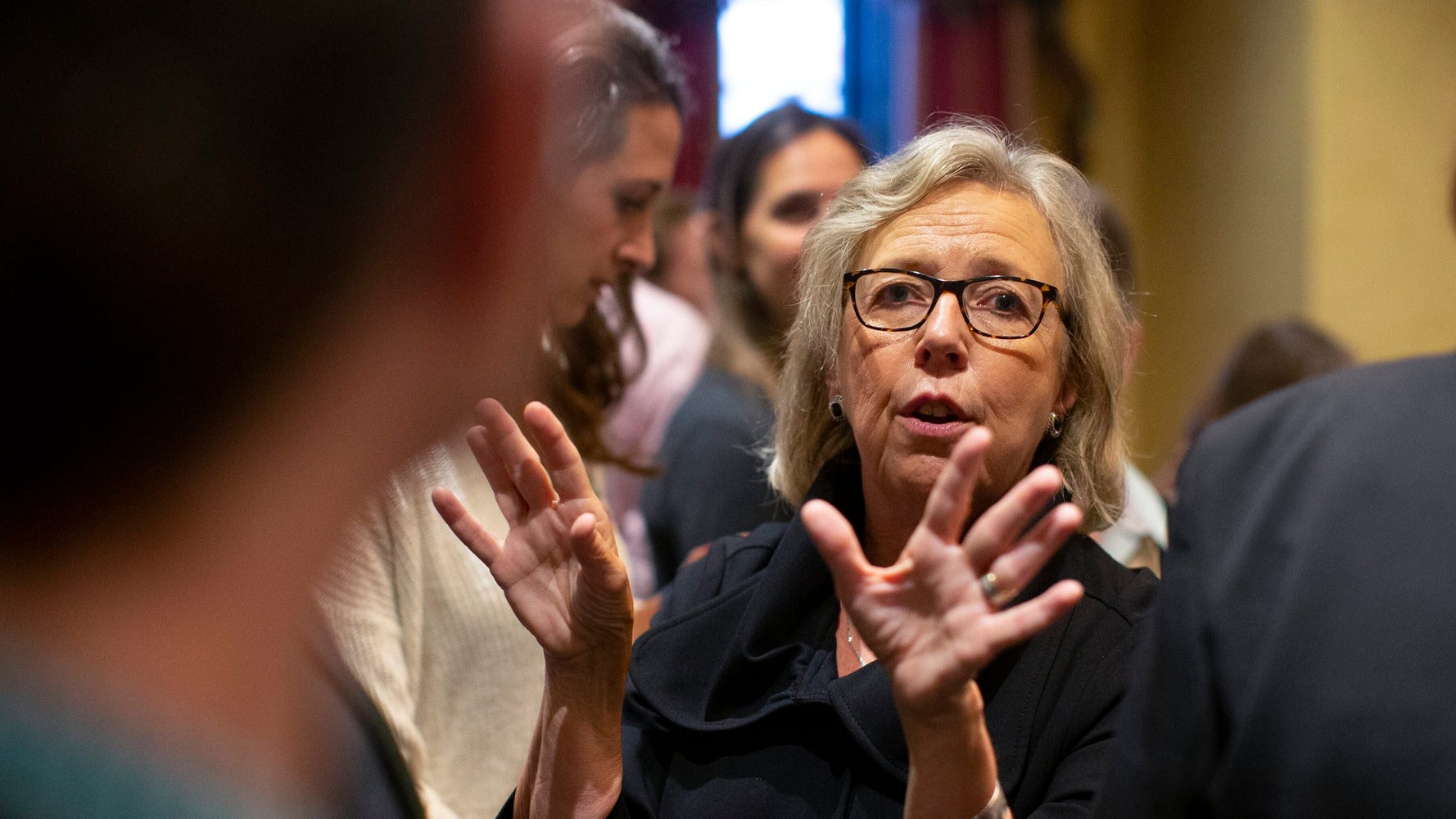 Elizabeth May Bashes Andrew Scheer’s 'Thin' Resumé Before He Was ...
