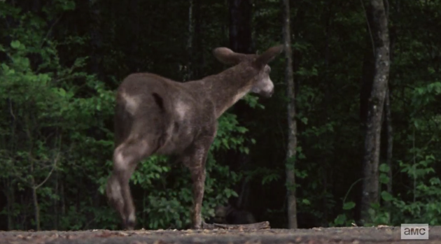 Oh Deer. 'The Walking Dead' Season 10 Premiere Brings Back An Old ...