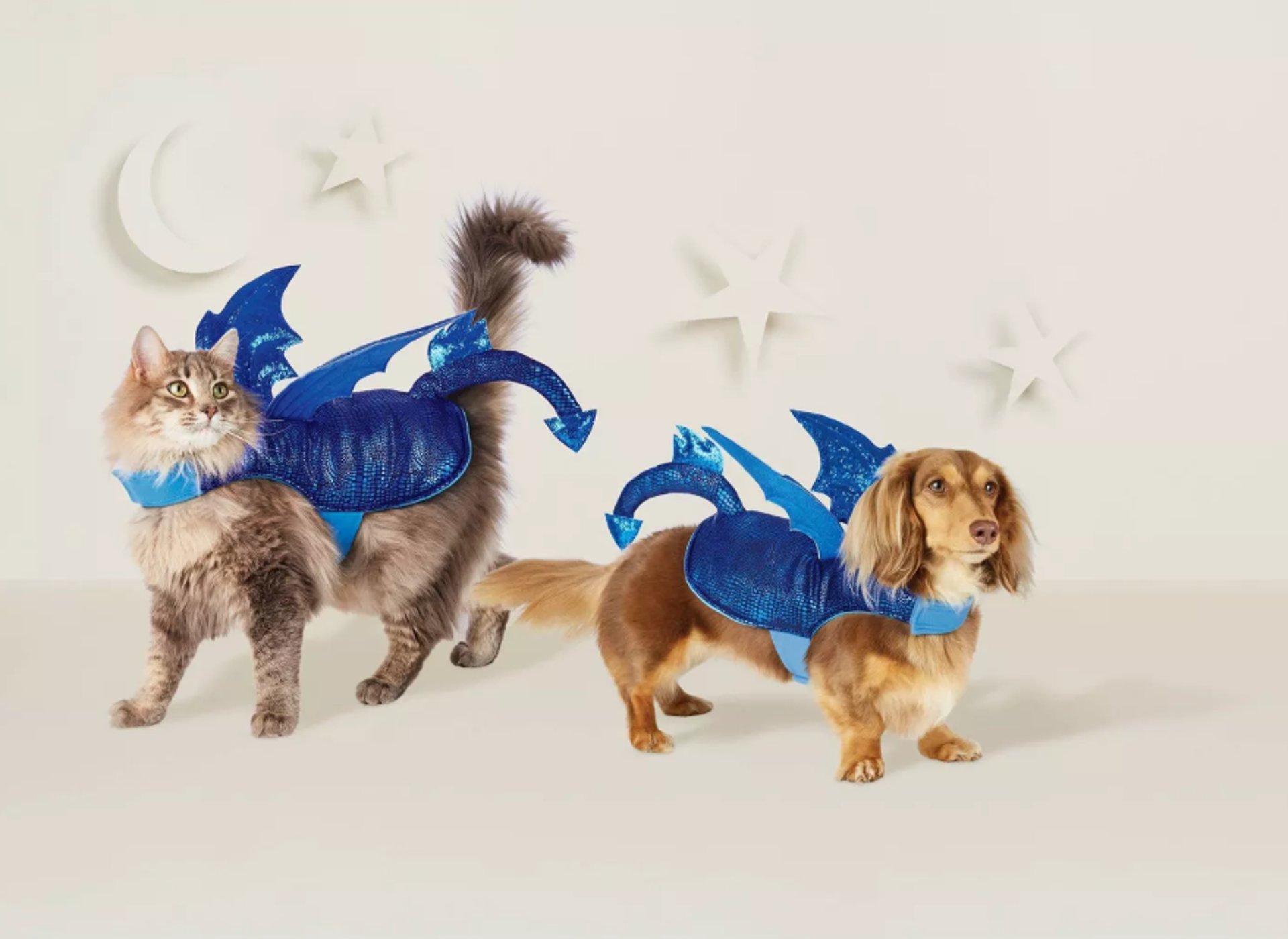 These 25 Cat Halloween Costumes Are Pure Instagram Gold | HuffPost Life