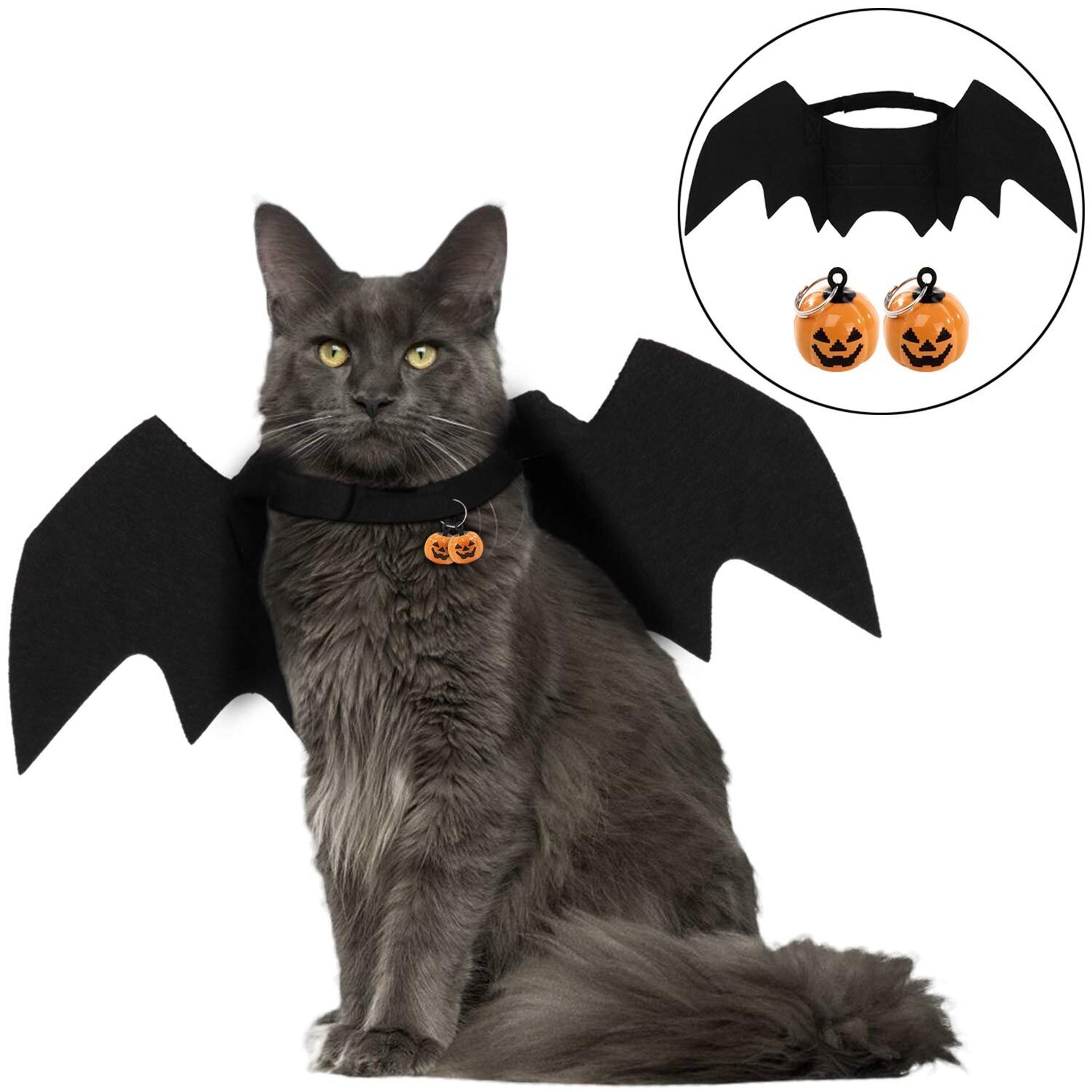 These 25 Cat Halloween Costumes Are Pure Instagram Gold | HuffPost Life