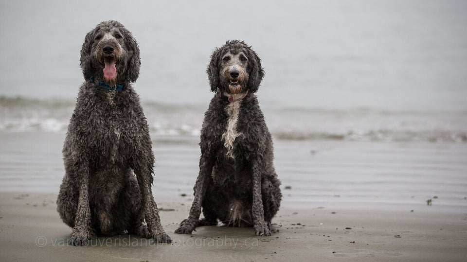 Dr. Bob Rishiraj Suspended, Fined For Severely Injuring Patient ...