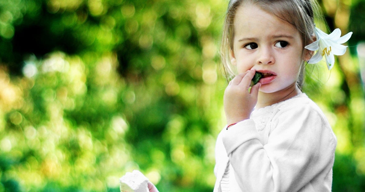 Local Food And Less Cheese Can Help Make The World A Better Place ...