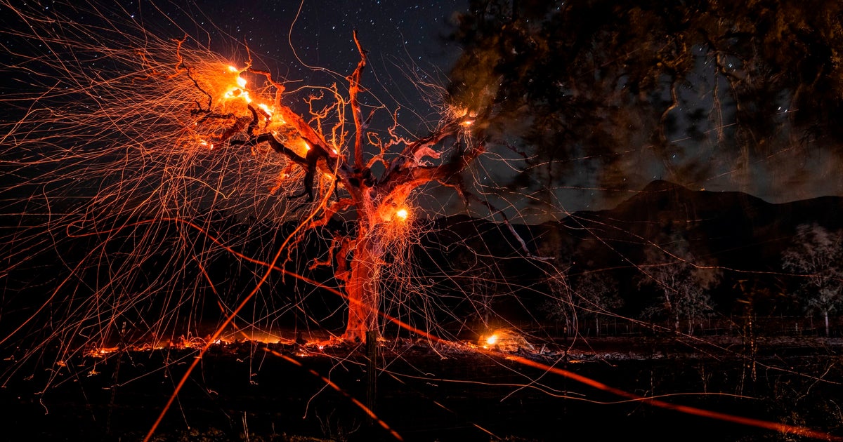 13 Amazing Photos You Missed This Week | HuffPost Entertainment