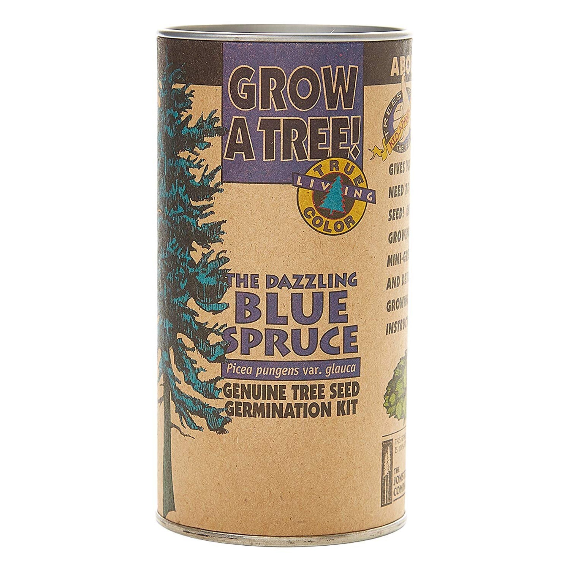 10 Of The Best Gifts For Kids That'll Grow With Them | HuffPost Life
