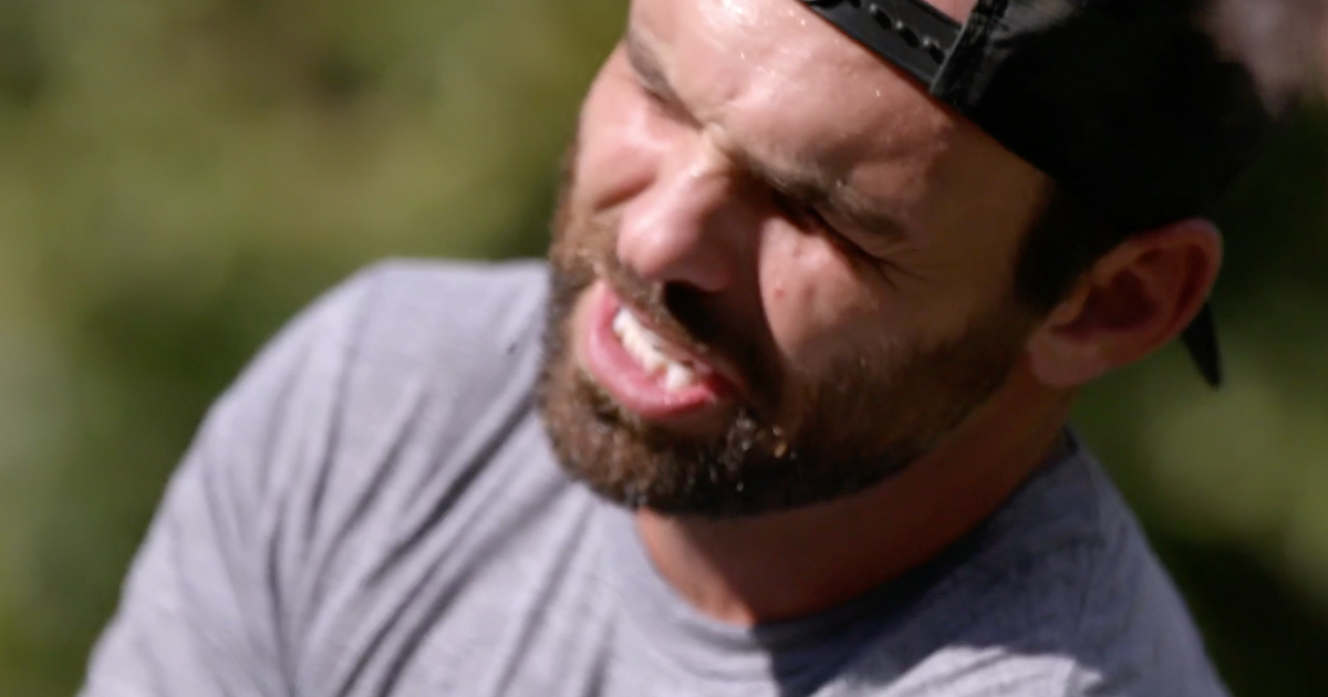 Man Purposely Gets Stung By Executioner Wasp And ― No Surprise ― It ...