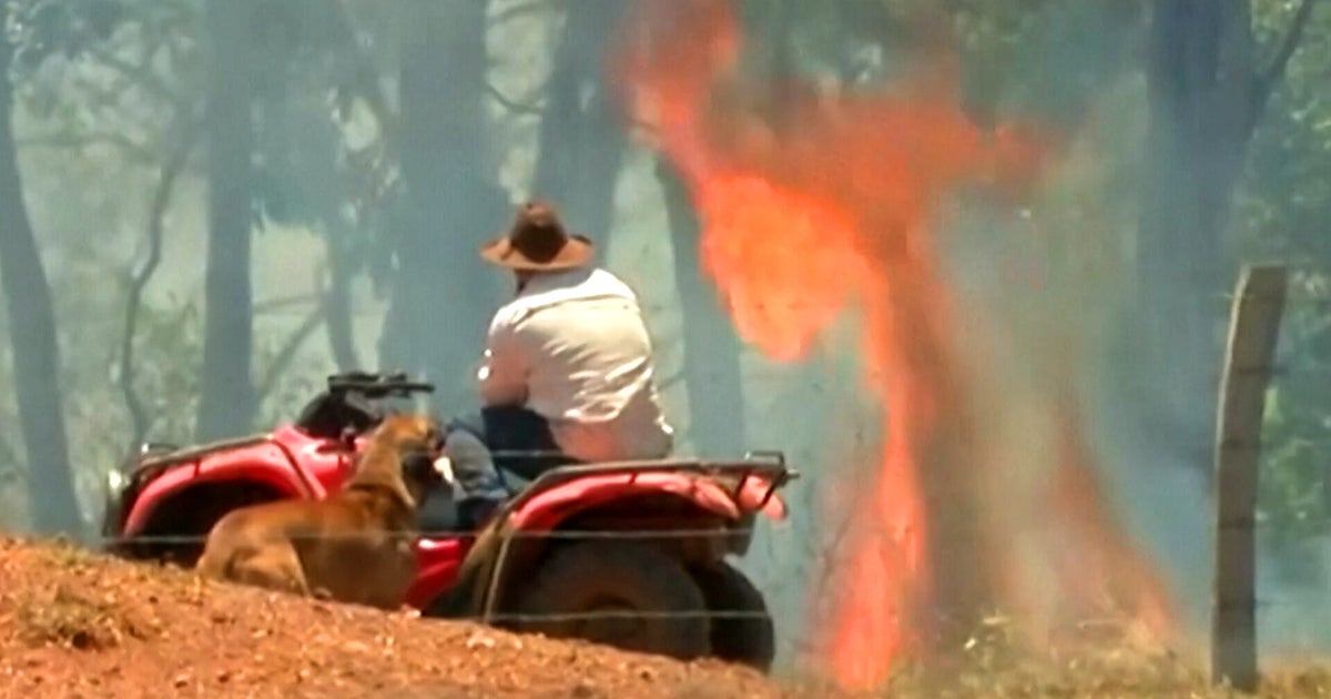 How Do Bushfires Start? | HuffPost UK News