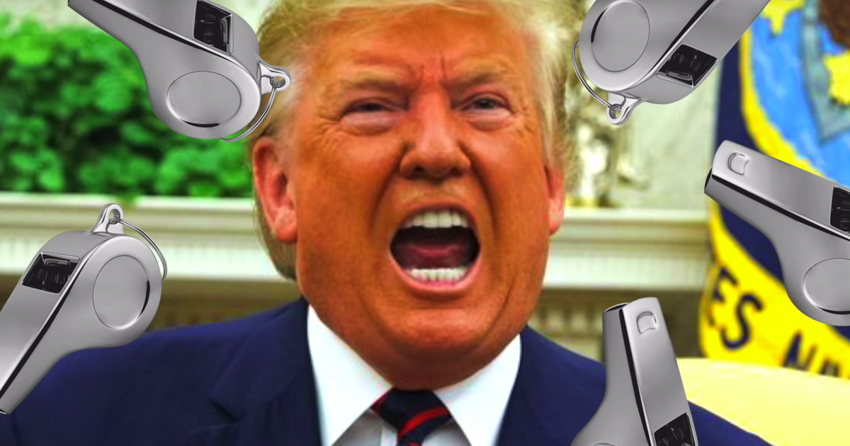 Randy Rainbow Breaks Down Donald Trump Impeachment Inquiry In The Best ...