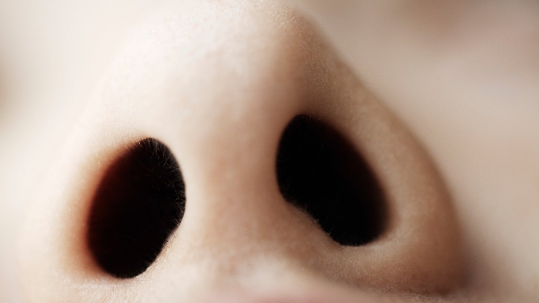 Comment choisir un parfum? Les conseils d'une experte pour éduquer son ...