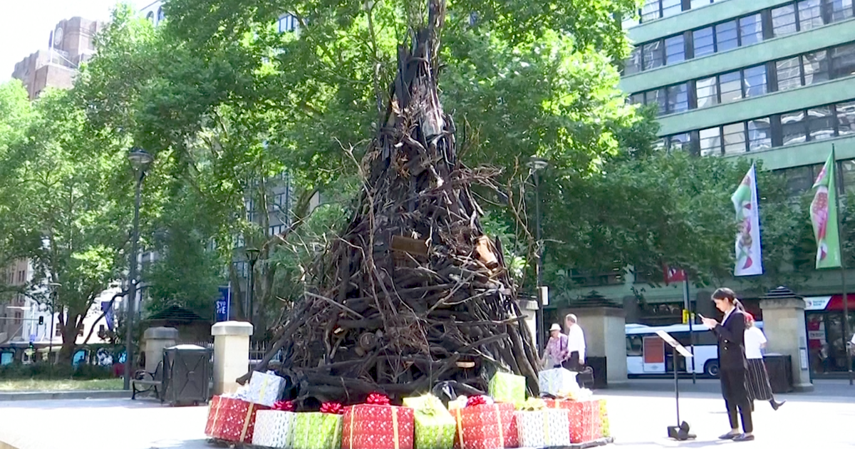 The Burnt Christmas Tree Helping Bushfire Victims | HuffPost UK News