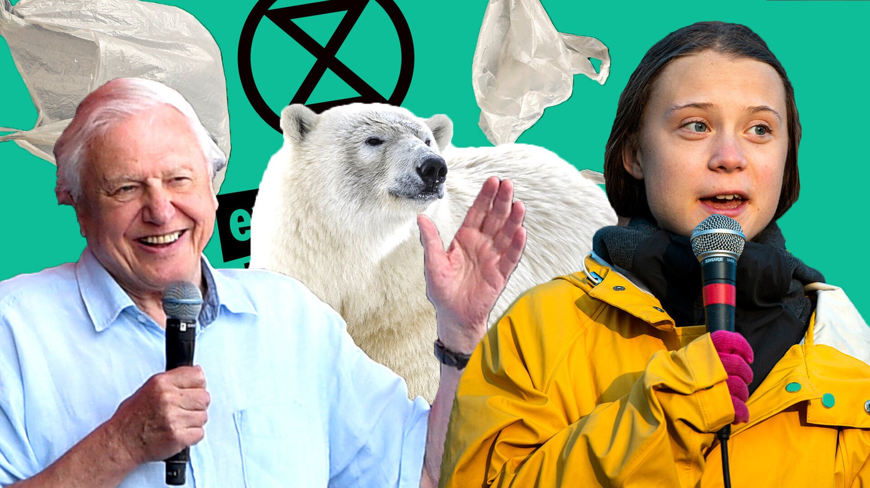 2010s: How The Decade Changed The Environment | HuffPost UK Life