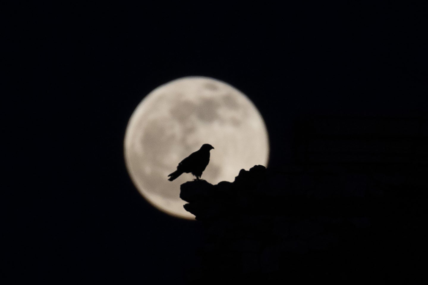 First Full Moon Of 2020 Is A Striking Celestial Sight | HuffPost Latest ...