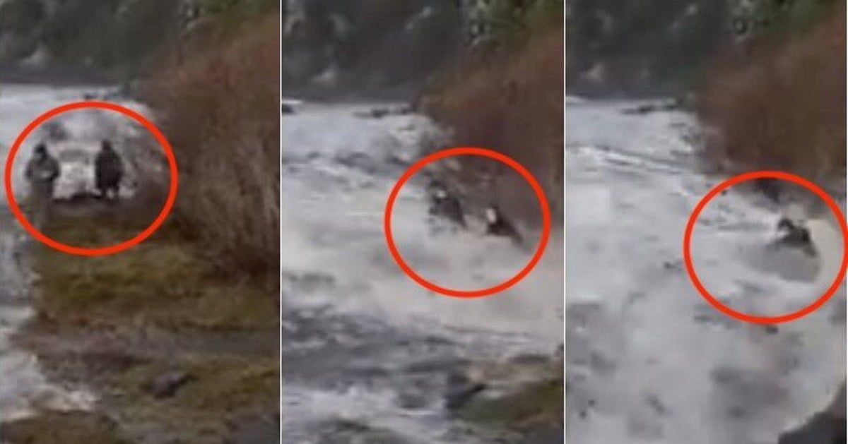 Chilling Footage Shows How Quickly Dangerous Rogue Waves Can Strike ...
