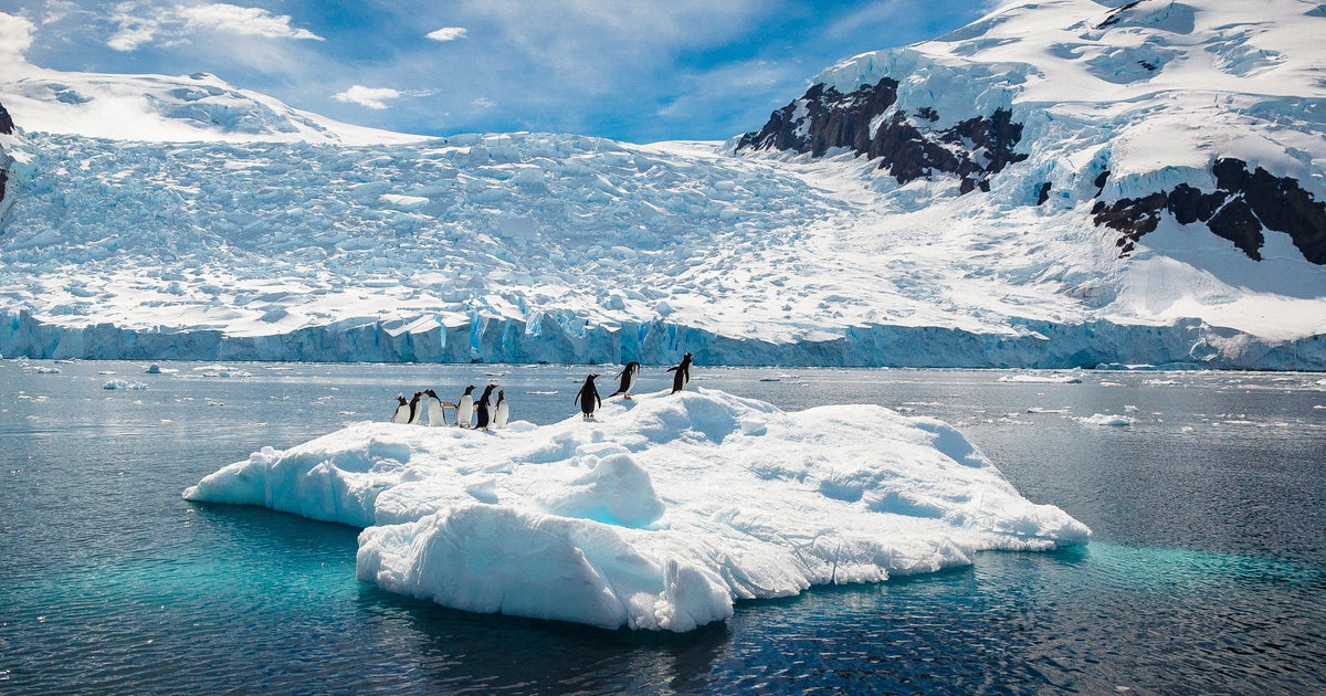 Antarctica Hits 64.9 Degrees, Highest Temperature Ever Recorded On ...