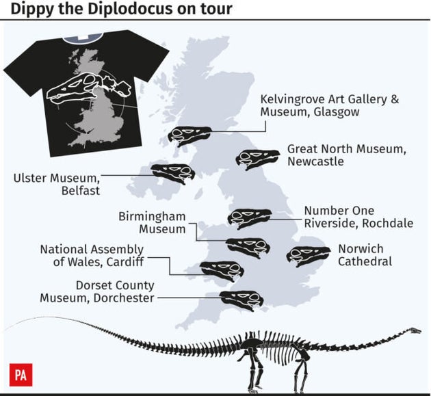 Natural History Museum’S Dippy The Diplodocus Begins UK Tour | HuffPost UK