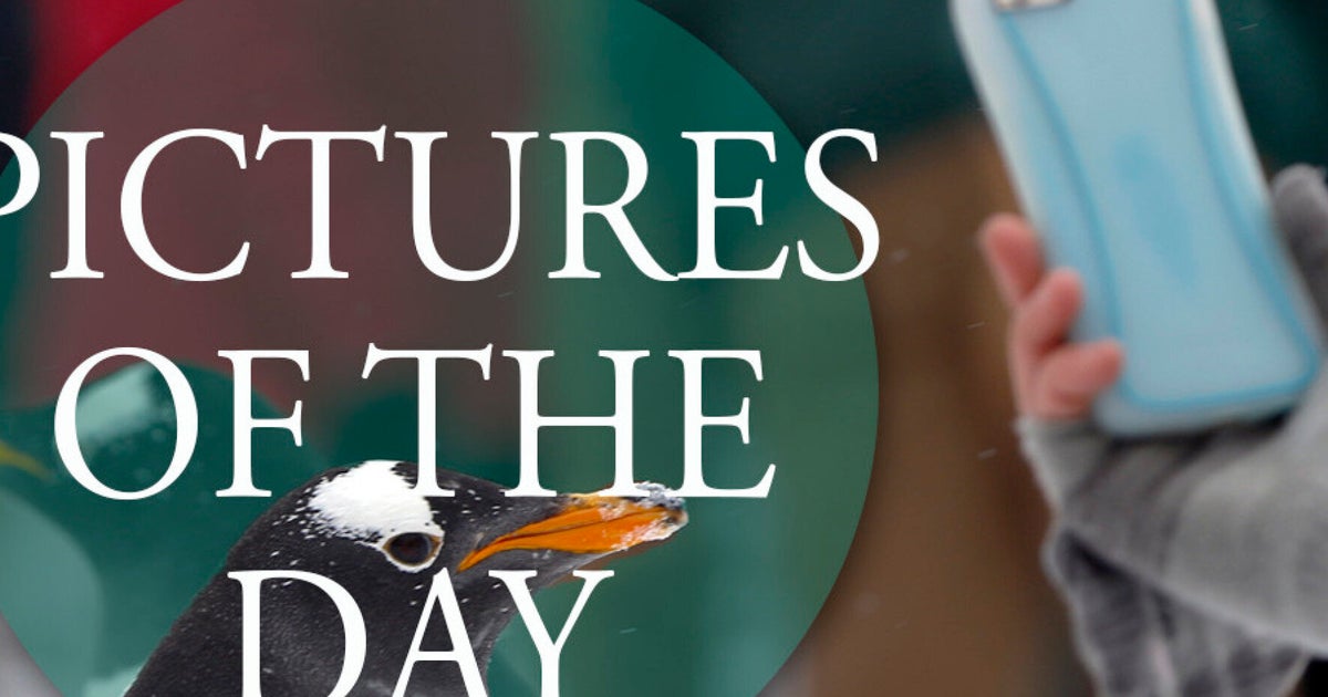 Pictures Of The Day: The Best Images From Around The World On Thursday ...