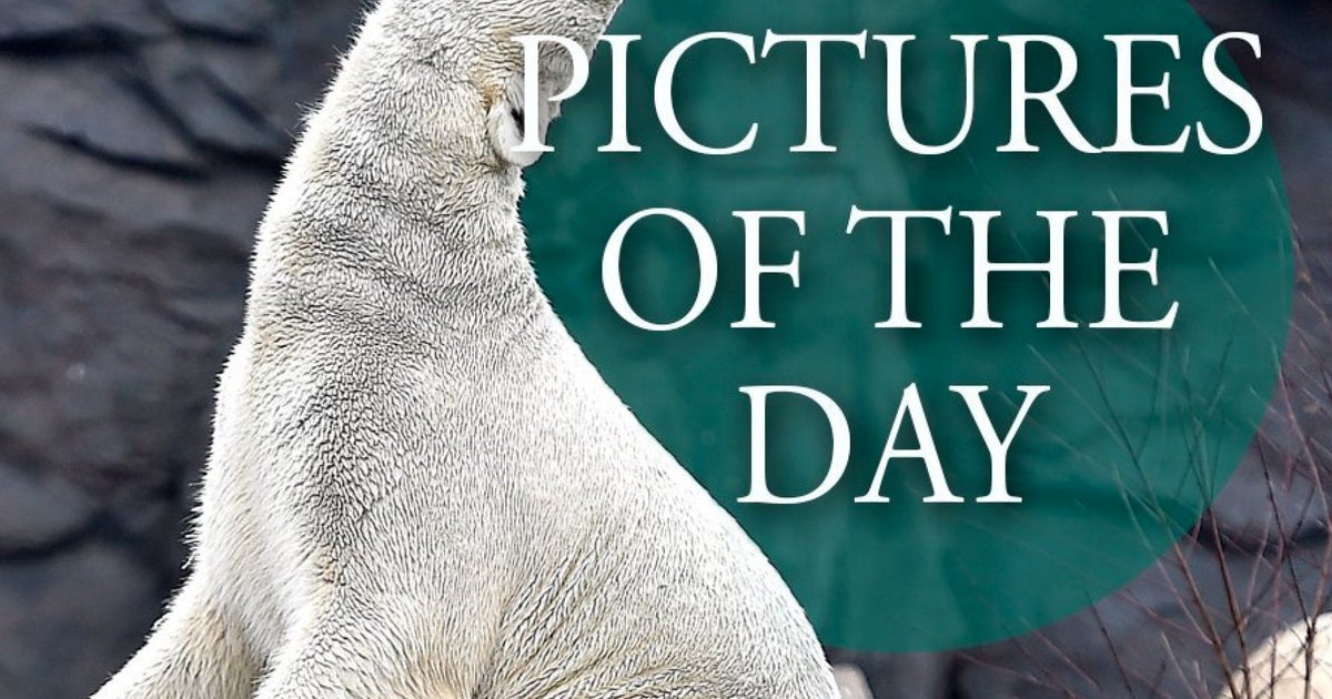 Pictures Of The Day: The Best Images From Around The World On Thursday ...