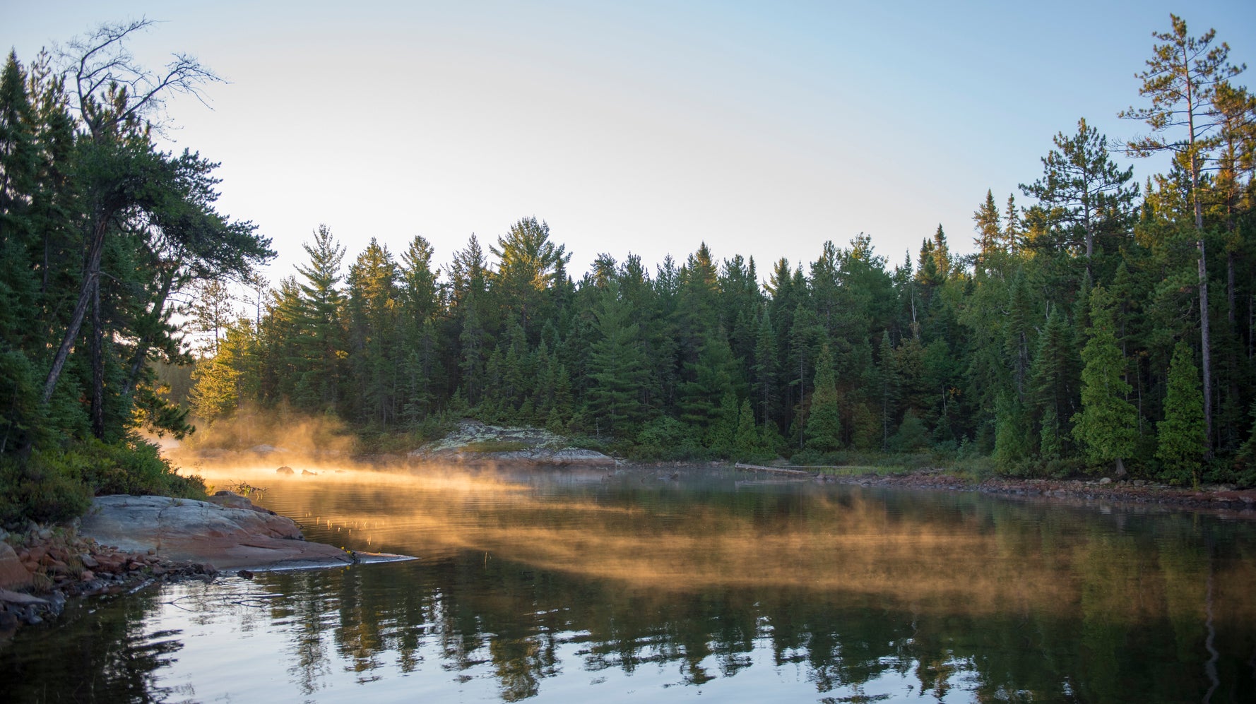 Ford Government’s Temagami Forest Plan Prompts Climate Change Lawsuit ...