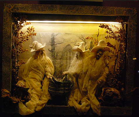 Happy Obscura Day! Who Wants To Play With This 3-Eyed Dog? | HuffPost ...