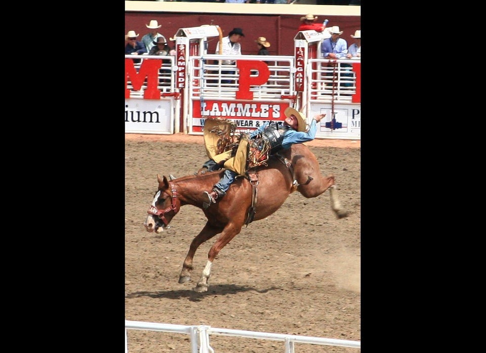 The Top 10 Rodeos Around The World (PHOTOS) | HuffPost Life