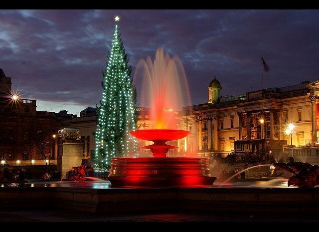 Top 10 Iconic Christmas Trees and Their Roots | HuffPost Life
