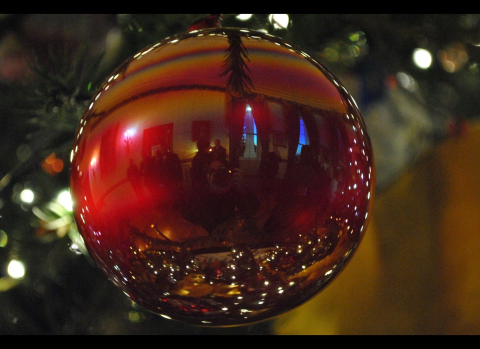 Top 10 Iconic Christmas Trees and Their Roots | HuffPost Life