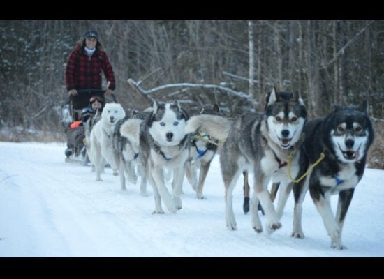 The 12 Most Epic Sledding Hills On Earth | HuffPost Life