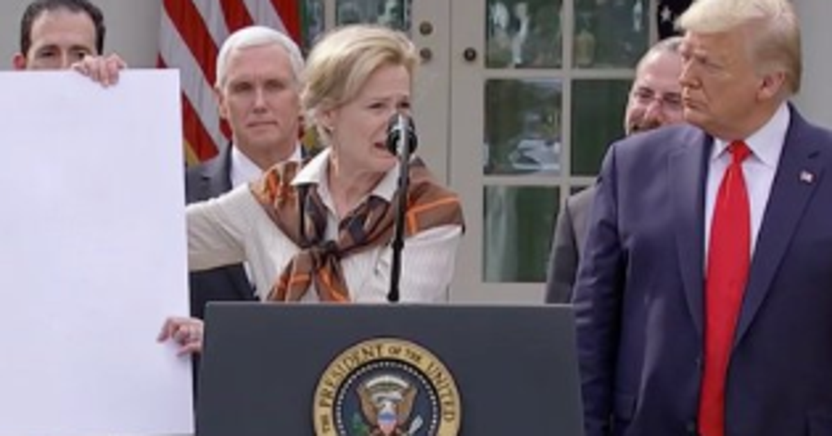 Donald Trump’s Coronavirus Presser Flowchart Is Now A Scathing New Meme ...