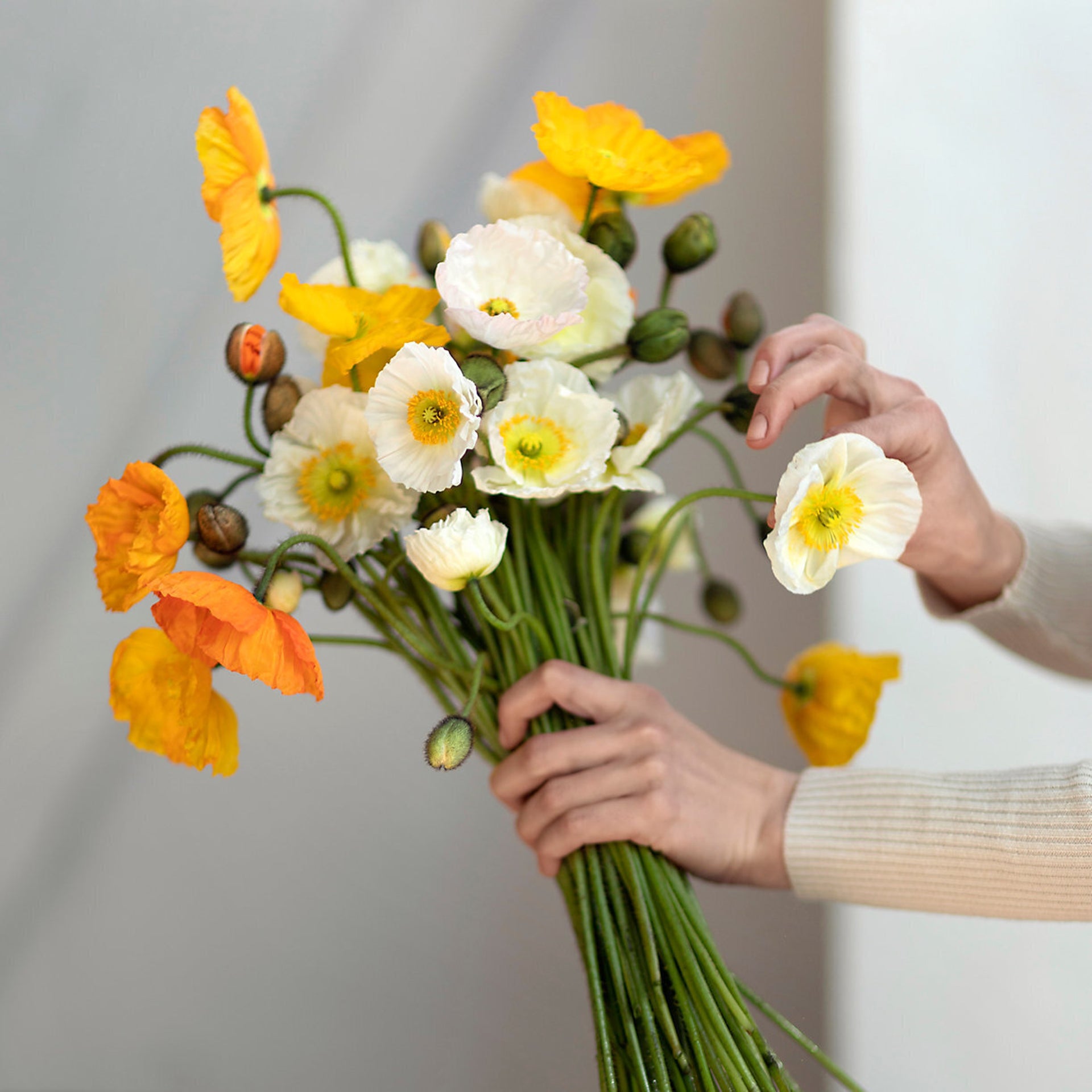 The Best Plant Delivery Services That'll Bring The Outdoors In ...