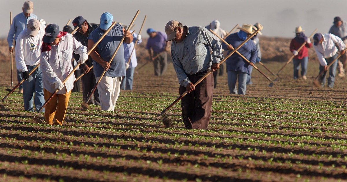 Migrant Farmworkers Feed America — And They're At High Risk For A ...