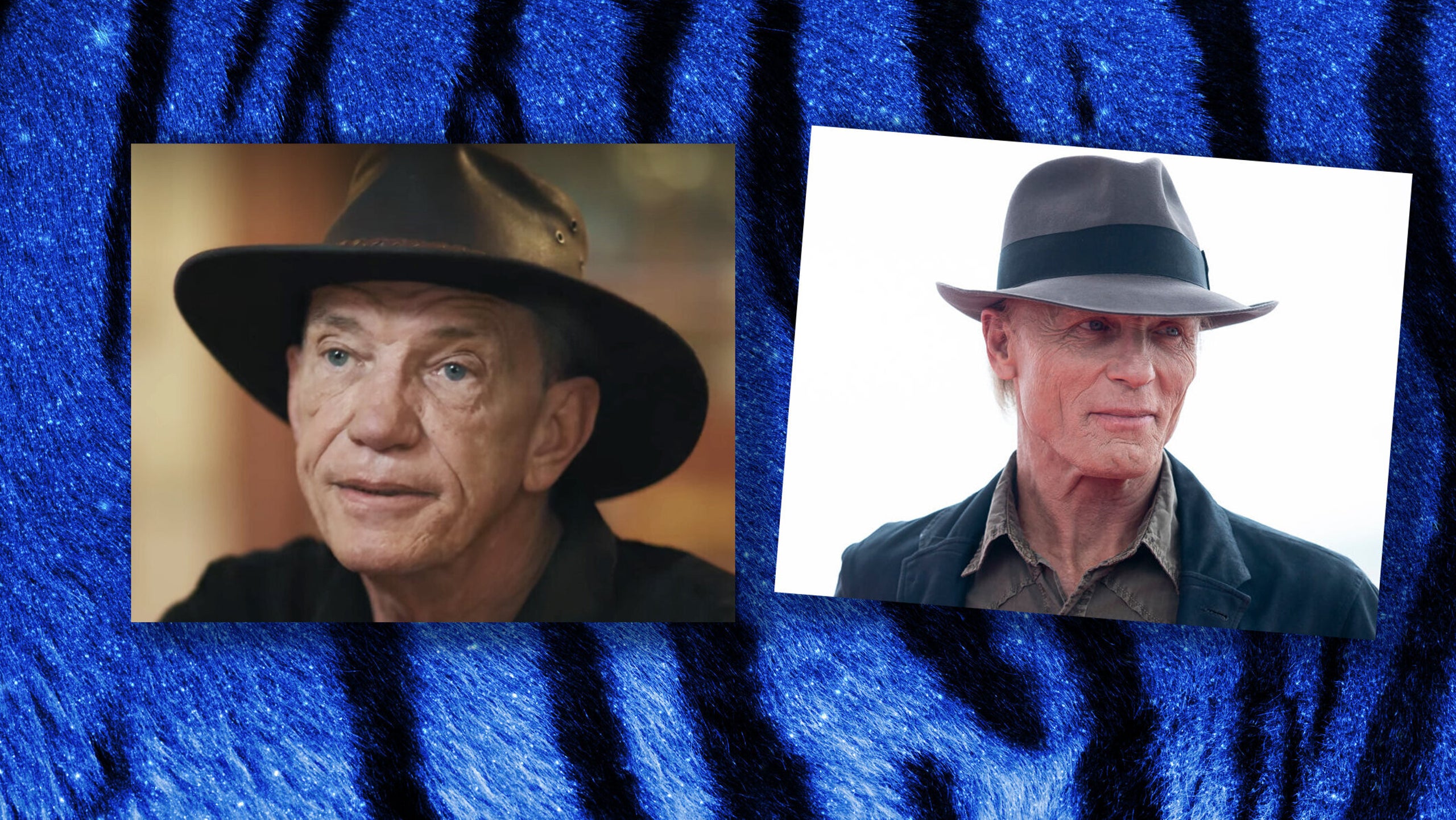 We Made A Dream Cast For The 'Tiger King' Limited Series, And It's ...