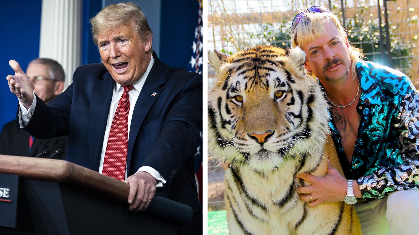 Trevor Noah Nails Why Trump Is Exactly Like ‘Tiger King’ Joe Exotic ...